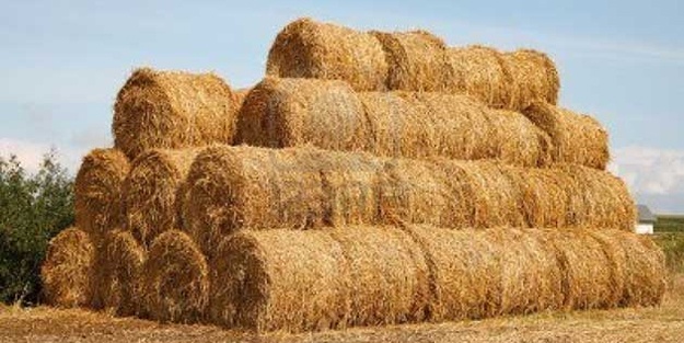 Ot ve saman alımları başladı - Bayburt Postası